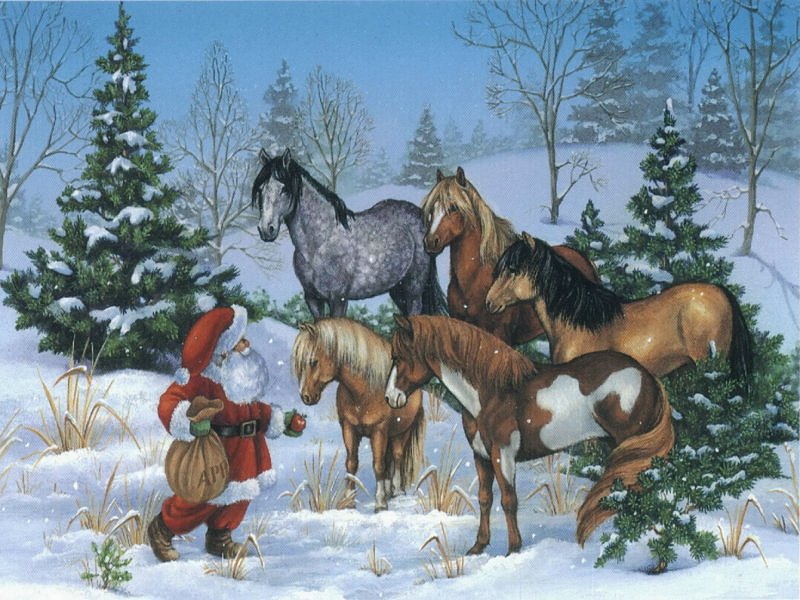 Merry Christmas! - saddleupcolorado