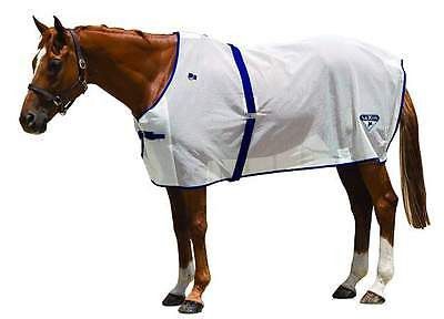 Fly Protection - saddleupcolorado