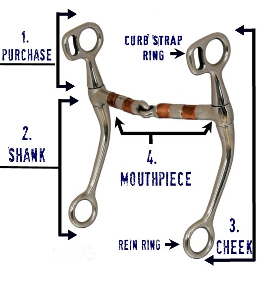 Bit Terminology - saddleupcolorado