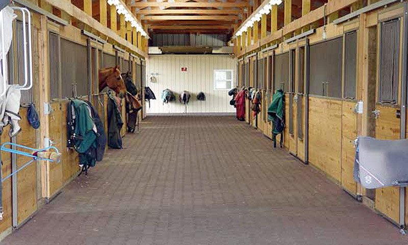 How to Find a Good Riding Stable - saddleupcolorado