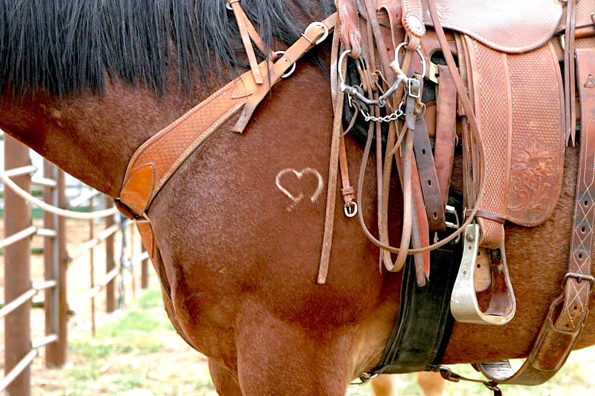 How to Create Your Own Livestock Brand in Colorado - saddleupcolorado