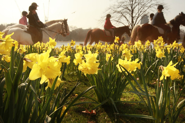 Happy First Day of Spring! - saddleupcolorado