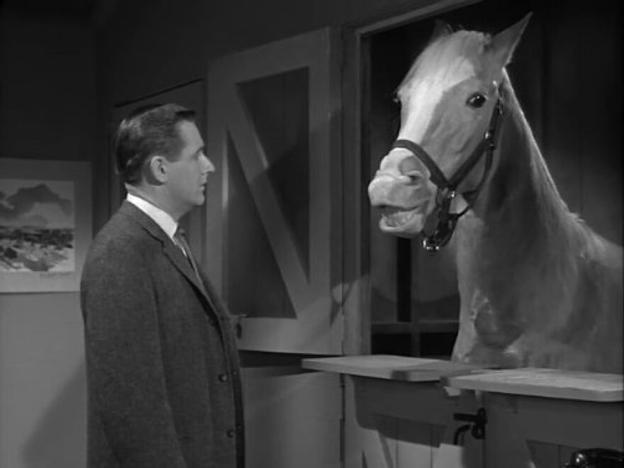 Secrets Behind Mr. Ed - Not Just The Horse Talkin' - saddleupcolorado