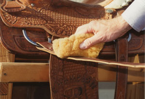 Cleaning a Saddle - saddleupcolorado