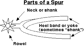 Spurs 101 - saddleupcolorado