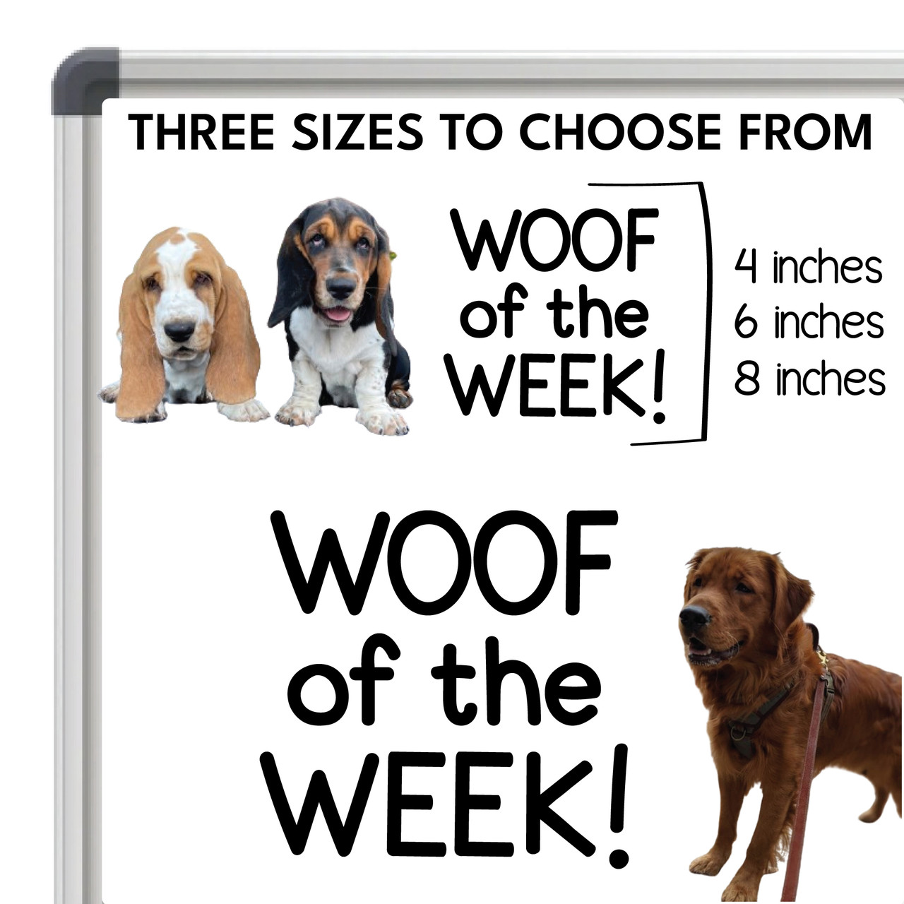 Woof of the Week Whiteboard Clings