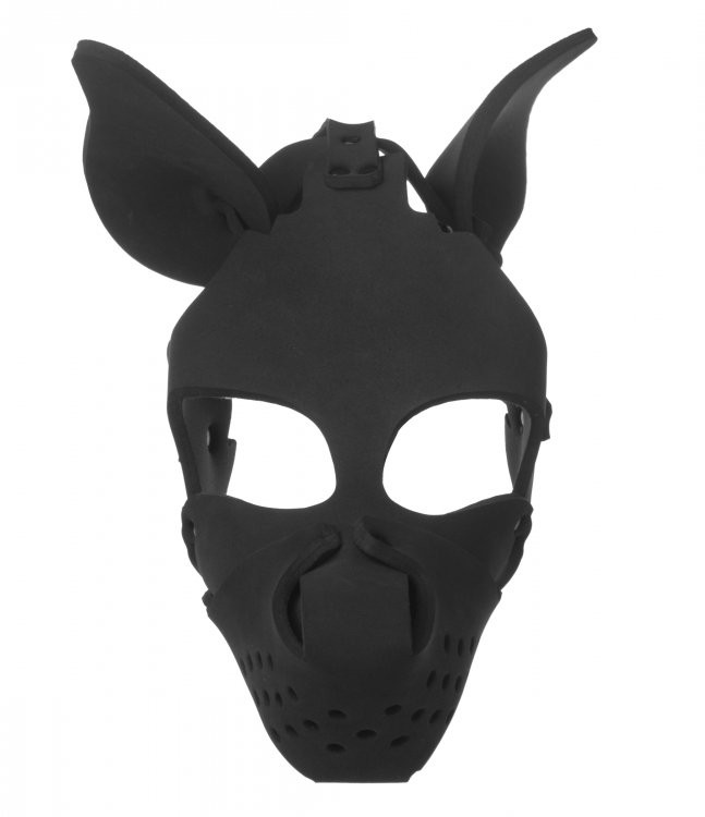 Master Series Neoprene Dog Hood with Removable Muzzle Black - Dallas ...