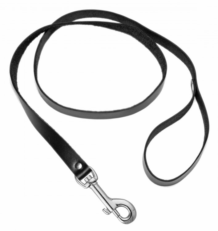 Master Series Lead Them by the Nose Shackle & Leash Kit - Dallas ...