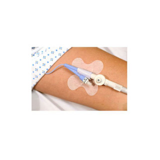 Foley Catheter Holder and Securement Devices