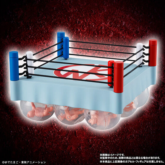 Kinnikuman Kinkeshi Official Ring 5 Set (with Bonus)
