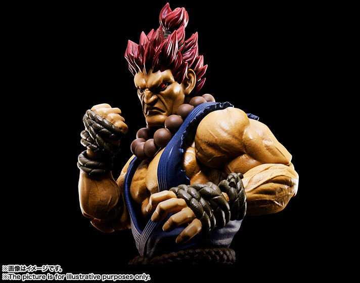 S.H.Figuarts Akuma Action Figure (Completed)