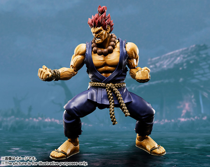 S.H.Figuarts Akuma Action Figure (Completed)