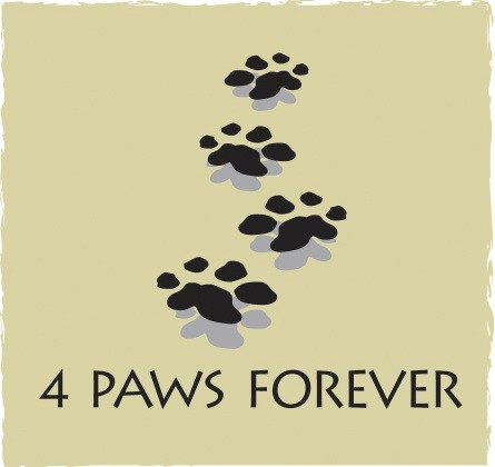 4 Paws Sympathy Card with Tree - Paws to Heaven - 4 Paws Forever