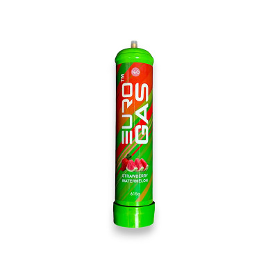 Euro Gas 1L Strawberry Watermelon Charger - Fruity Bliss