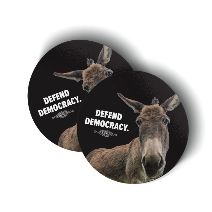 Defend Democracy Stickers - DCCC Webstore