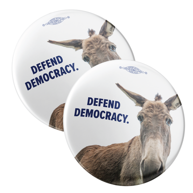 Defend Democracy Buttons - DCCC Webstore