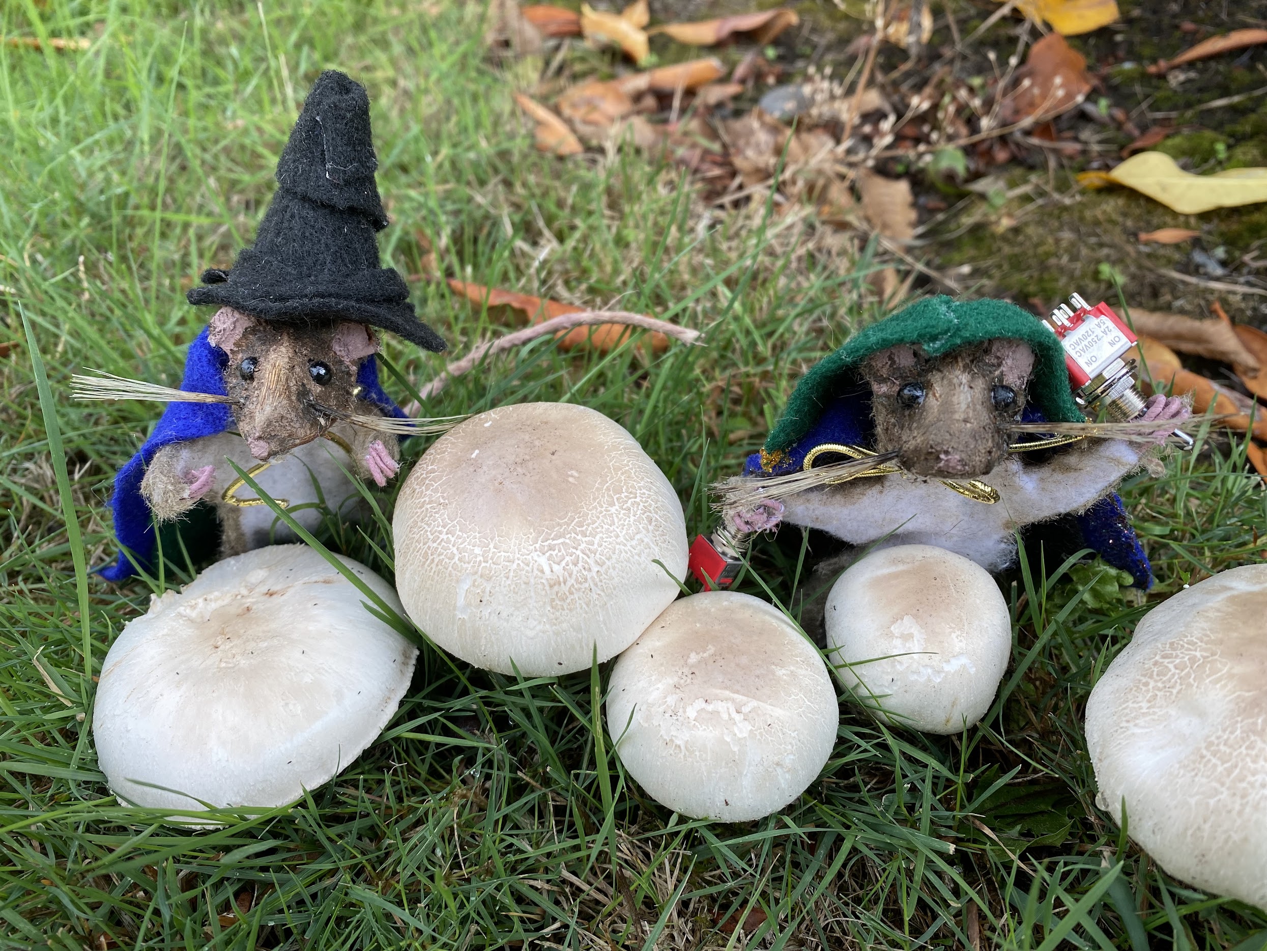 Farewell from the Mice Witches - Love My Switches