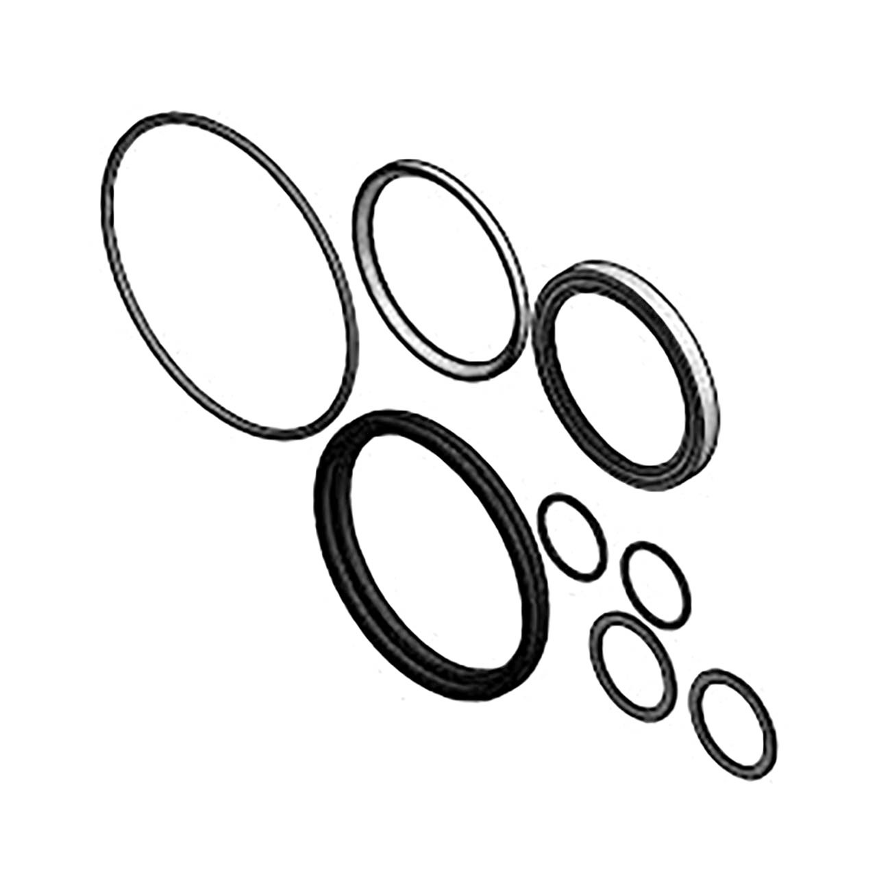 Banjo DM25200 2 in. Full Port Dry Mate Seal Repair Kit - John M ...