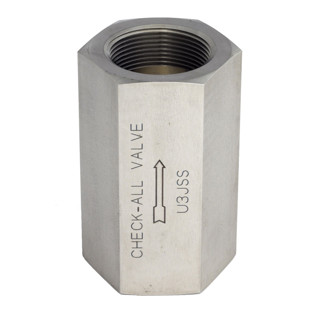 Check-All Valve 2 in. NPT Stainless Steel Threaded Low-Pressure Check ...