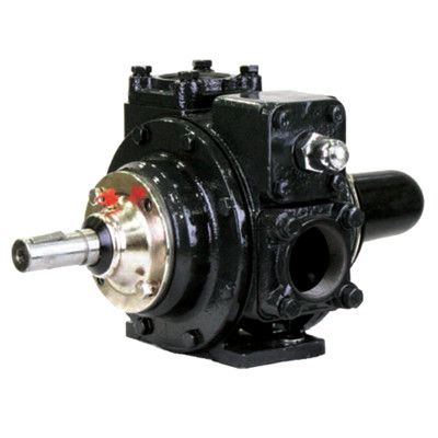 Paragon VP80 2 in. NPT Vane Pump w/ Viton Seals - 87 GPM - John M ...