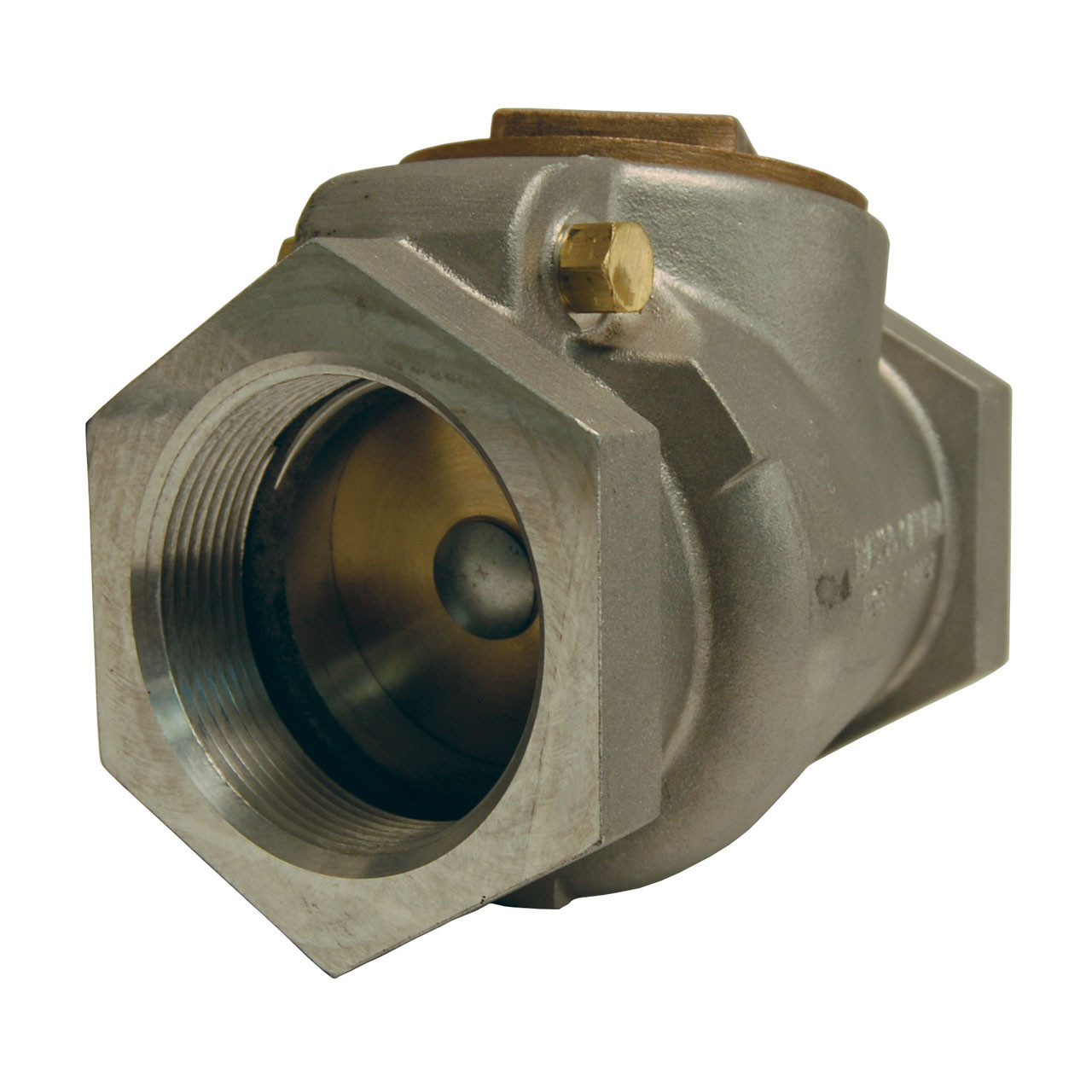 Dixon Classic 3000 Series 3 in. FNPT Aluminum Swing Check Valve w ...