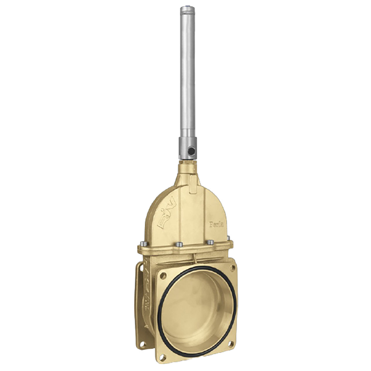 RIV Perla Piston Valve 4 Bolt Flange X Flange W/ Single Acting ...