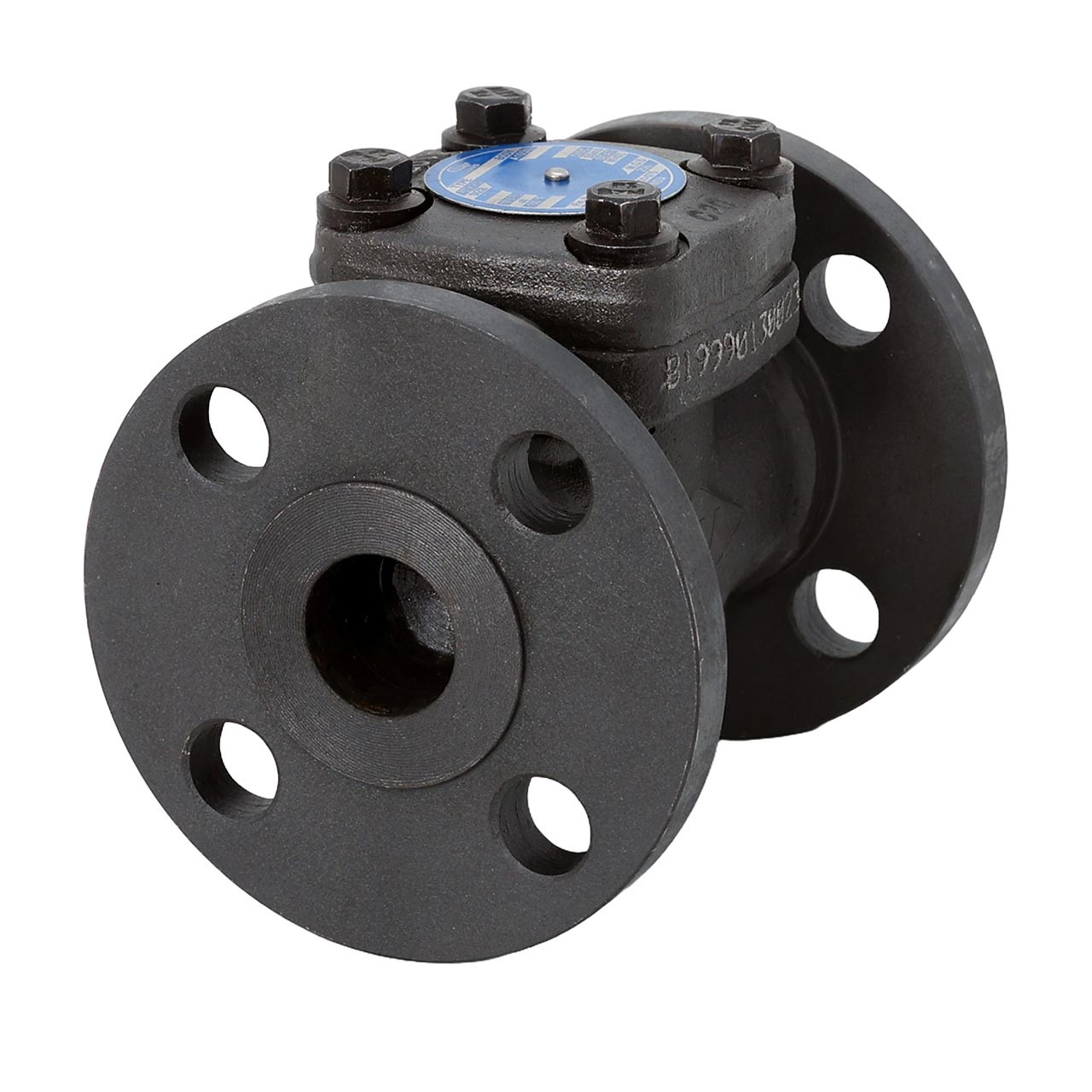 Chicago Valves P484SW020 2 in. Forged Steel Piston Check Valve - Socket ...