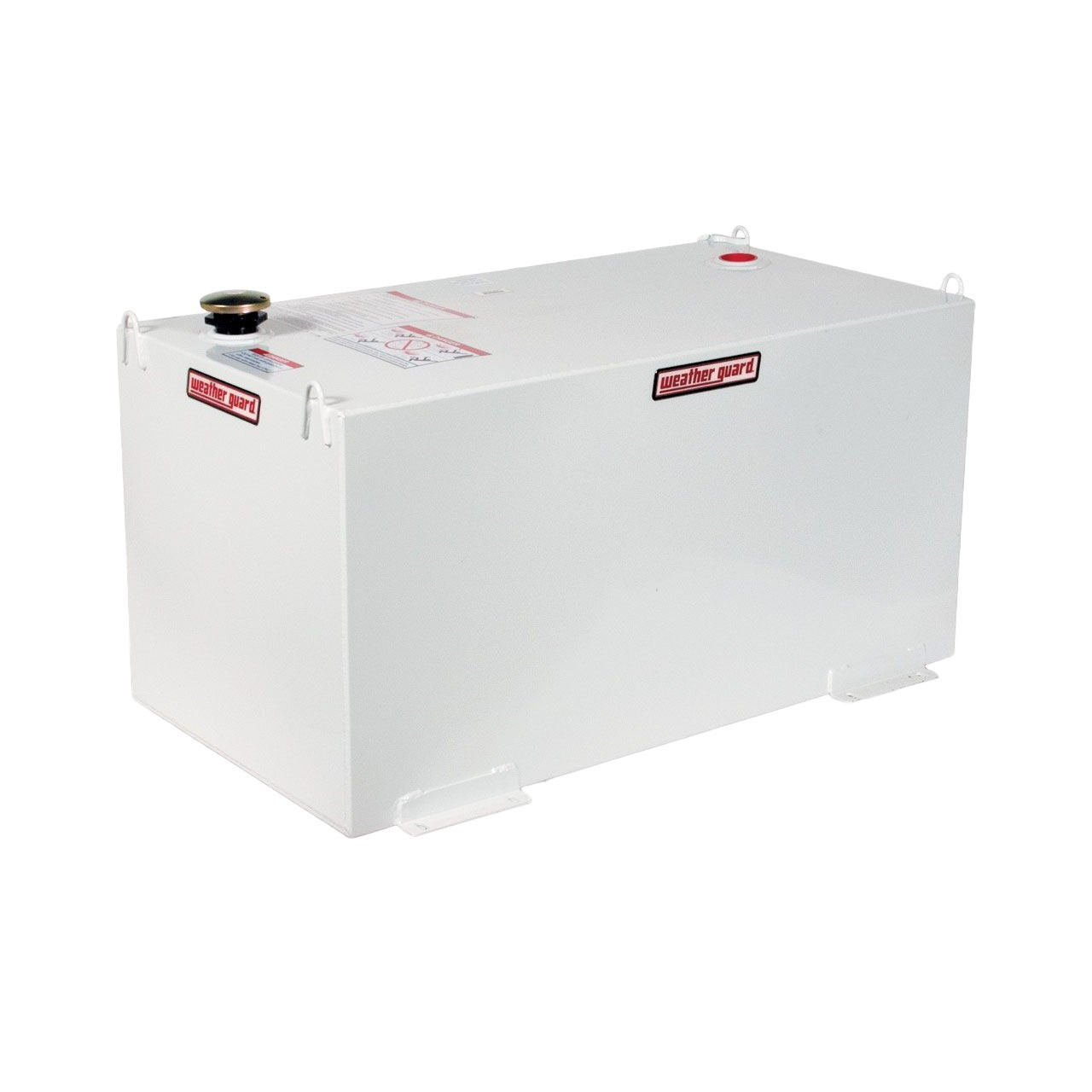 Weather Guard 100 Gal. Steel Transfer Tank w/ GPI M-150S-EM 12V DC ...