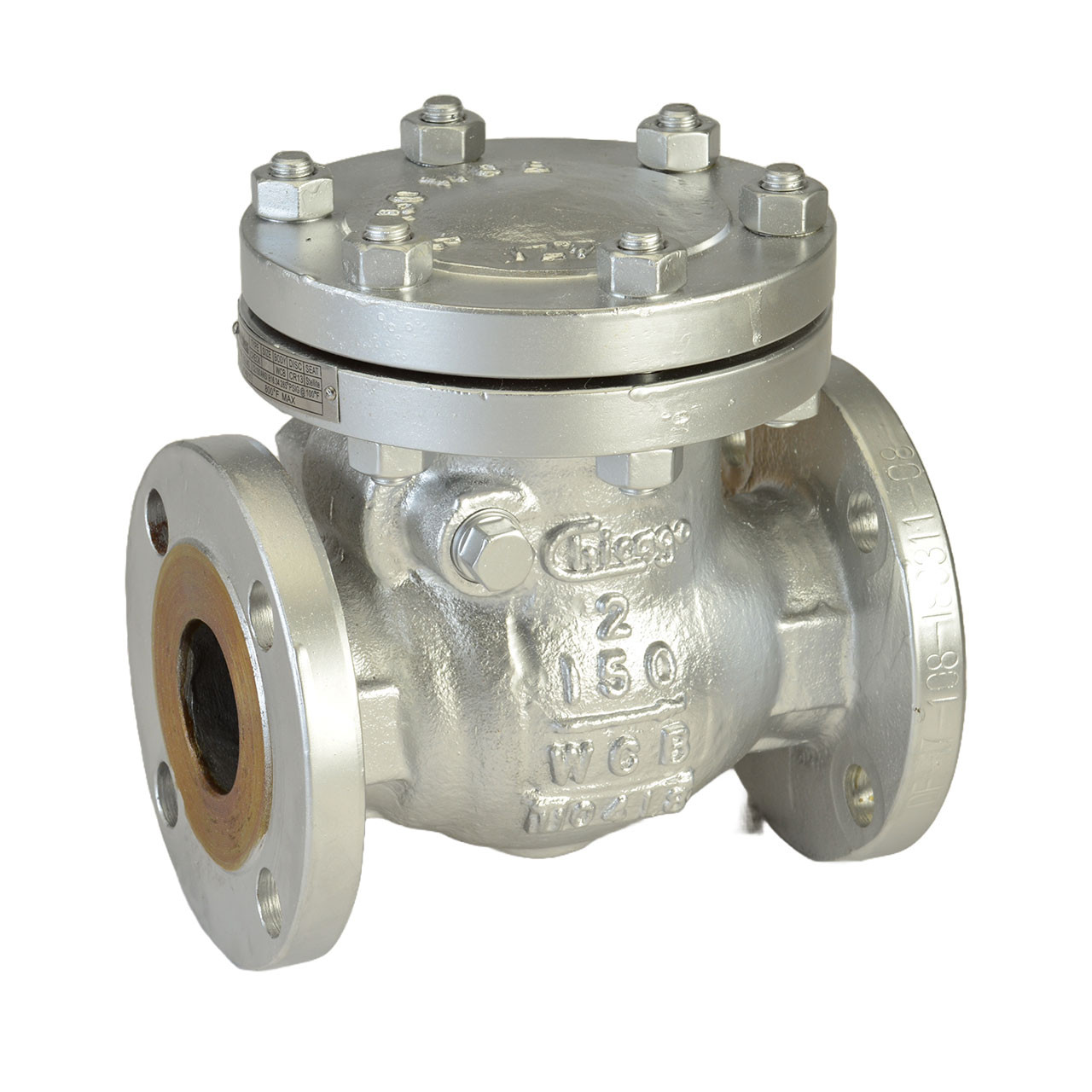 Chicago Valves 41611025 2 1/2 in. Stainless Steel Swing Check Valve ...