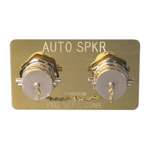 Dixon 2 1/2 in. NST x 4 in. NPT Double Clapper Concealed Type Siamese ...