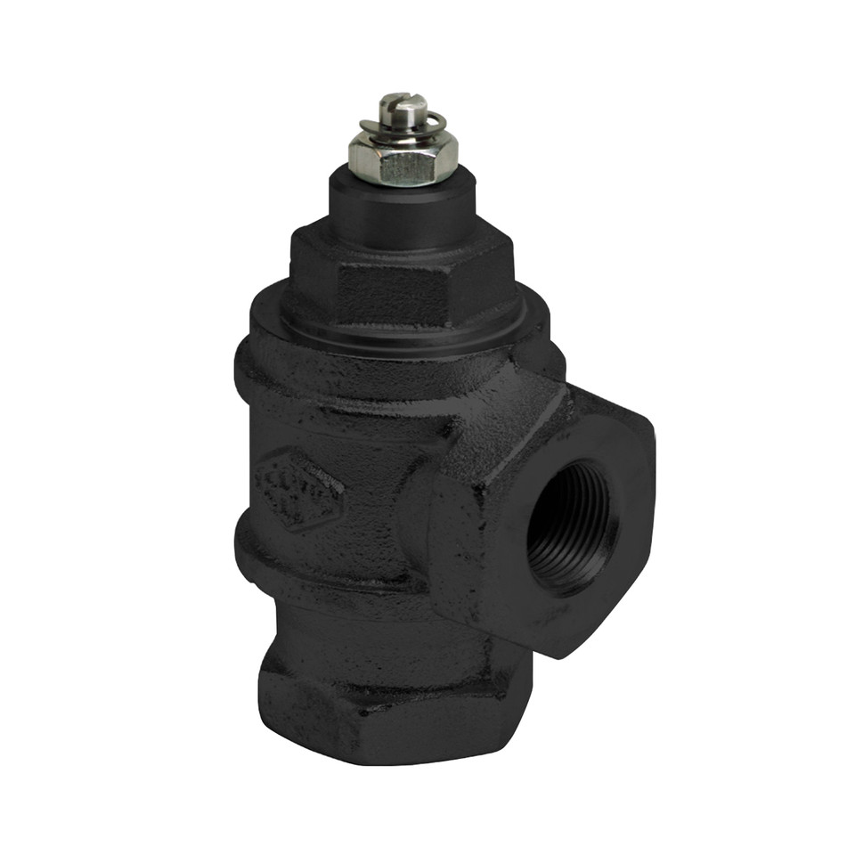Franklin Fueling Systems 3/4 in. NPT Anti-Siphon Valve for Above Ground ...