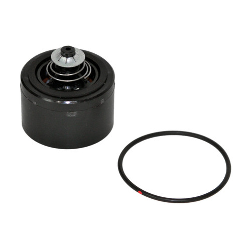 Fill-Rite Check Valve Repair Kit for FR700 Series - John M. Ellsworth ...