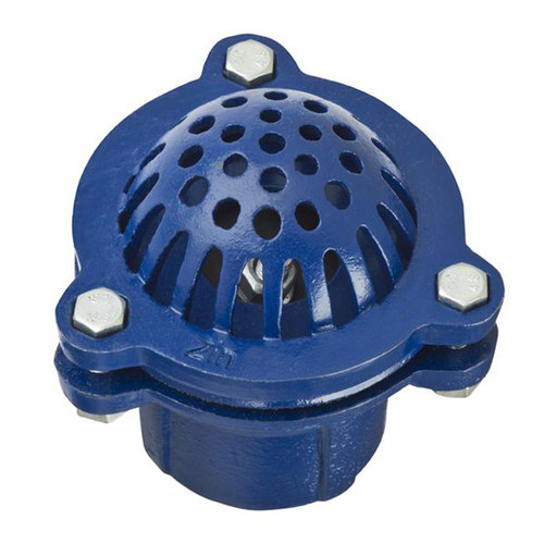 Kuriyama Cast Iron Foot Valve with Neoprene Flapper Valve Assembly ...