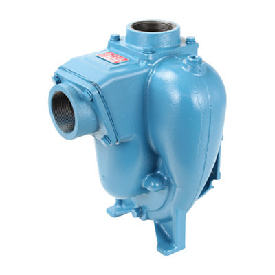 MP Pumps Flomax 15 Pumpak 3" Cast Iron Self Priming Centrifugal Pump, 3 ...