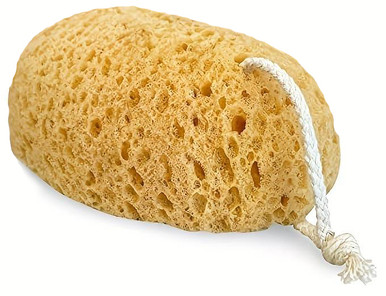 Savage Soaps Bath Sponge