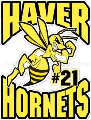 Hornet car window sticker decals