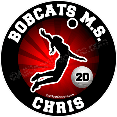 Car decals Magnets for Volleyball