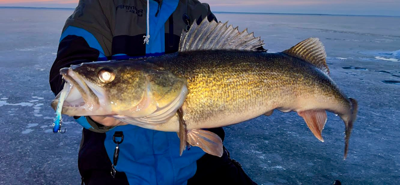 BEAVER'S LURES