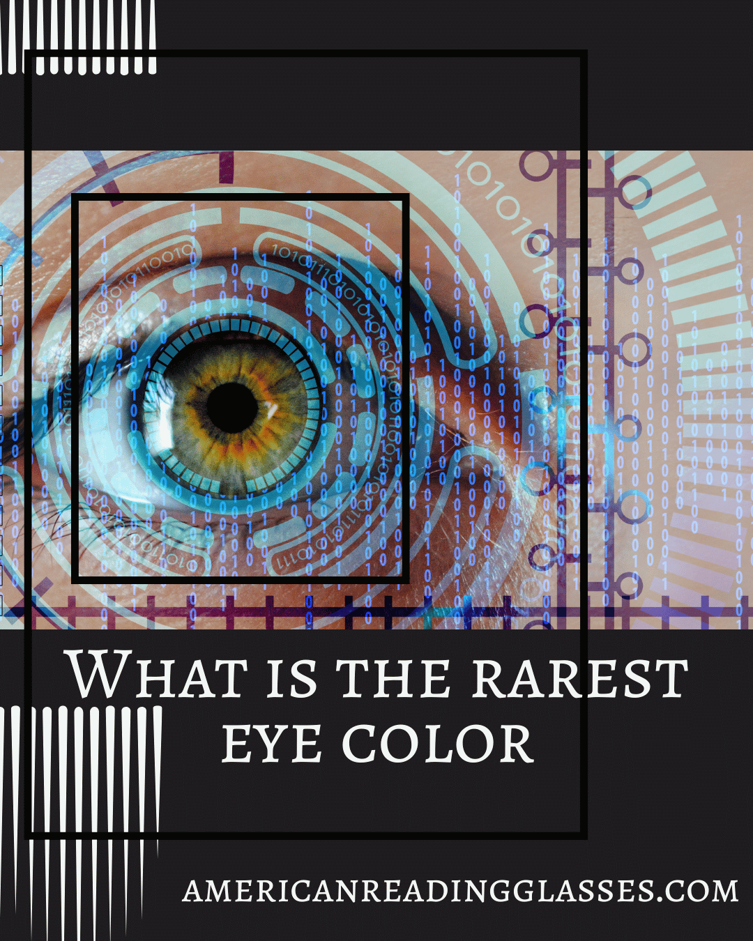 What's The Rarest Type Of Eye Color