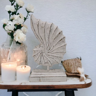 Medium White Wood Shell on Stand - 30cm
