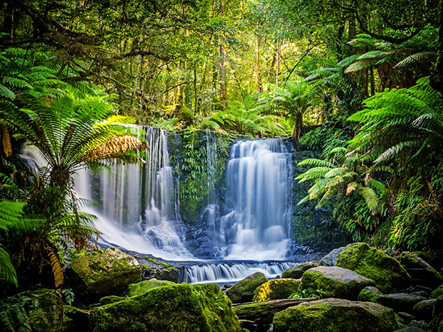 The Best Jungle Party Ideas So Far - Chocablock Chocolates