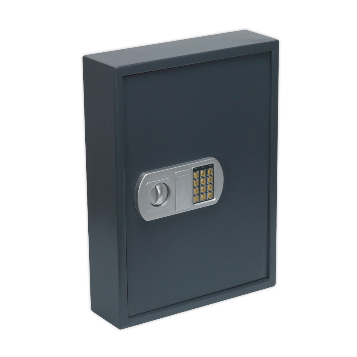 Electronic Key Cabinet 100 Key Capacity (SEKC100)
