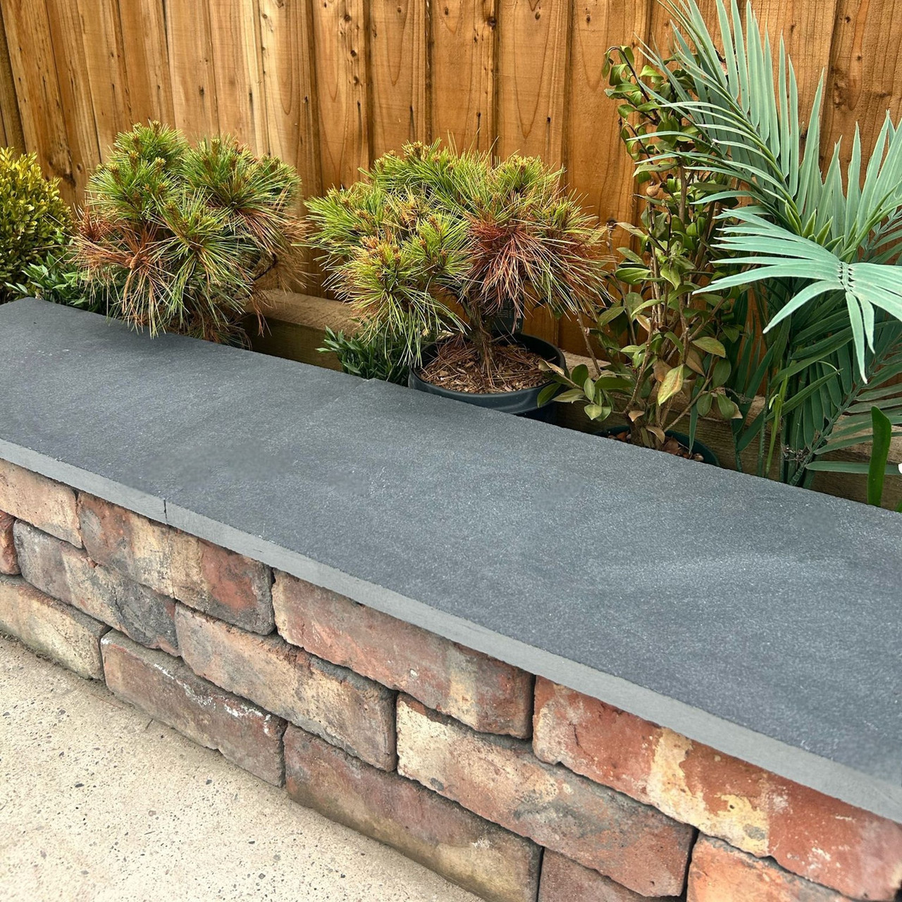 Black Limestone Coping 600 x 295mm