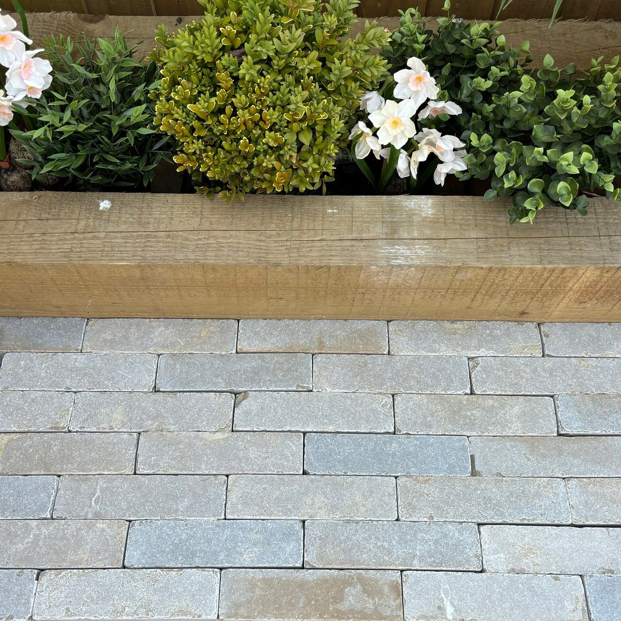 Limestone Dutch Paver 200 x 50 x 50mm Cream (per m2)