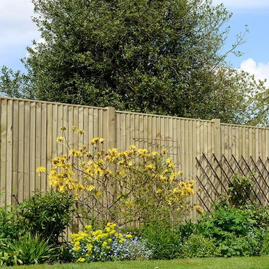 Feather Edge Panel 6ft Pressure Treated