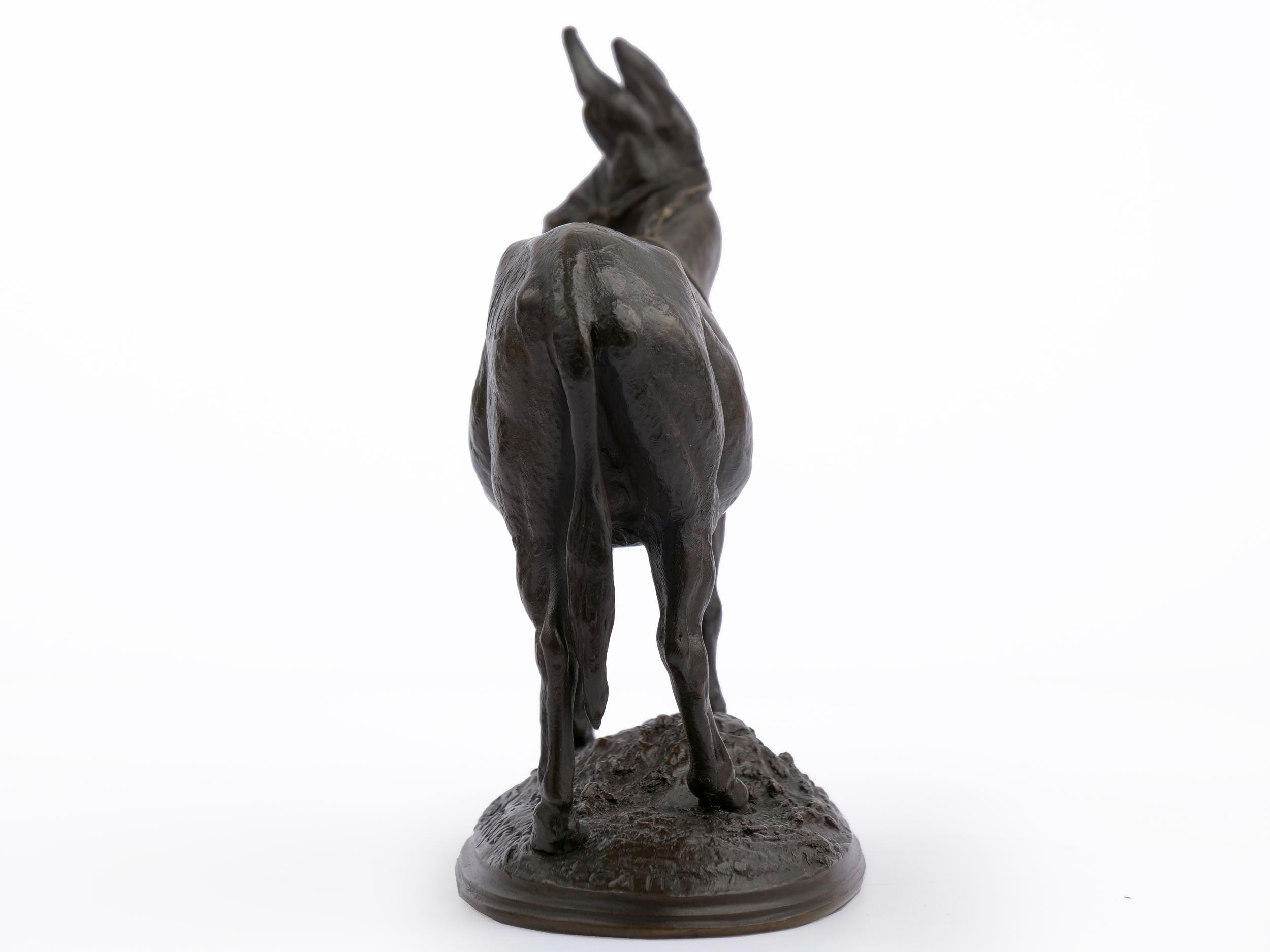 "African Donkey", bronze sculpture | Auguste Nicholas Cain (French ...