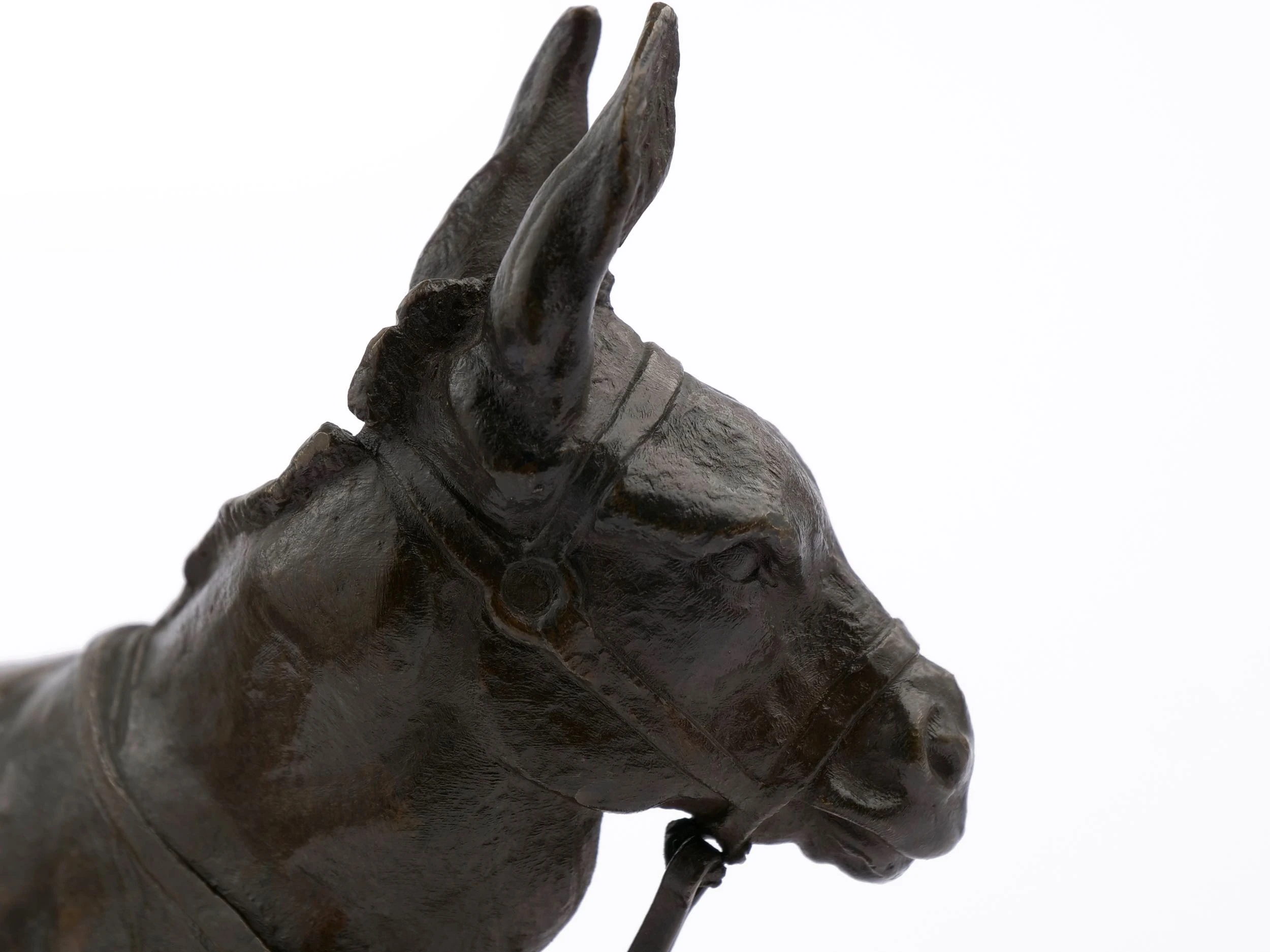 "African Donkey", bronze sculpture | Auguste Nicholas Cain (French ...