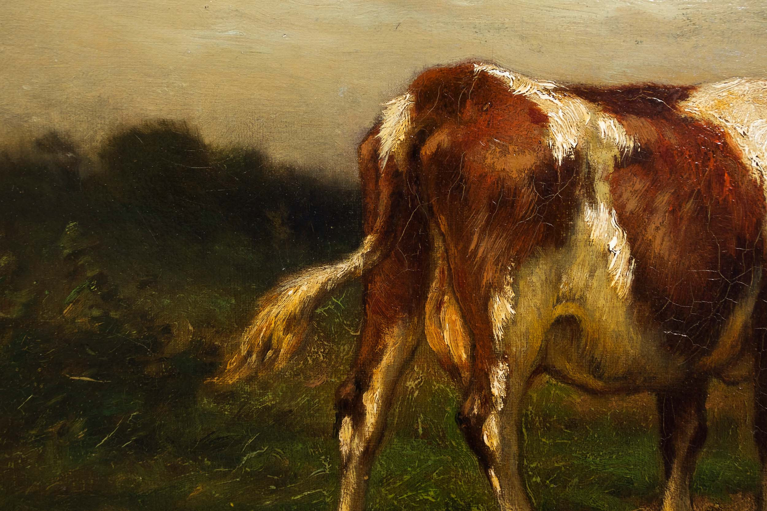 "Cow in a Landscape" | John Carleton Wiggins