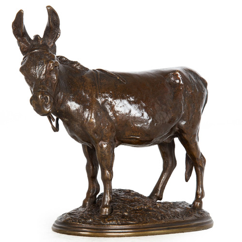 "African Donkey" | Auguste Nicholas Cain