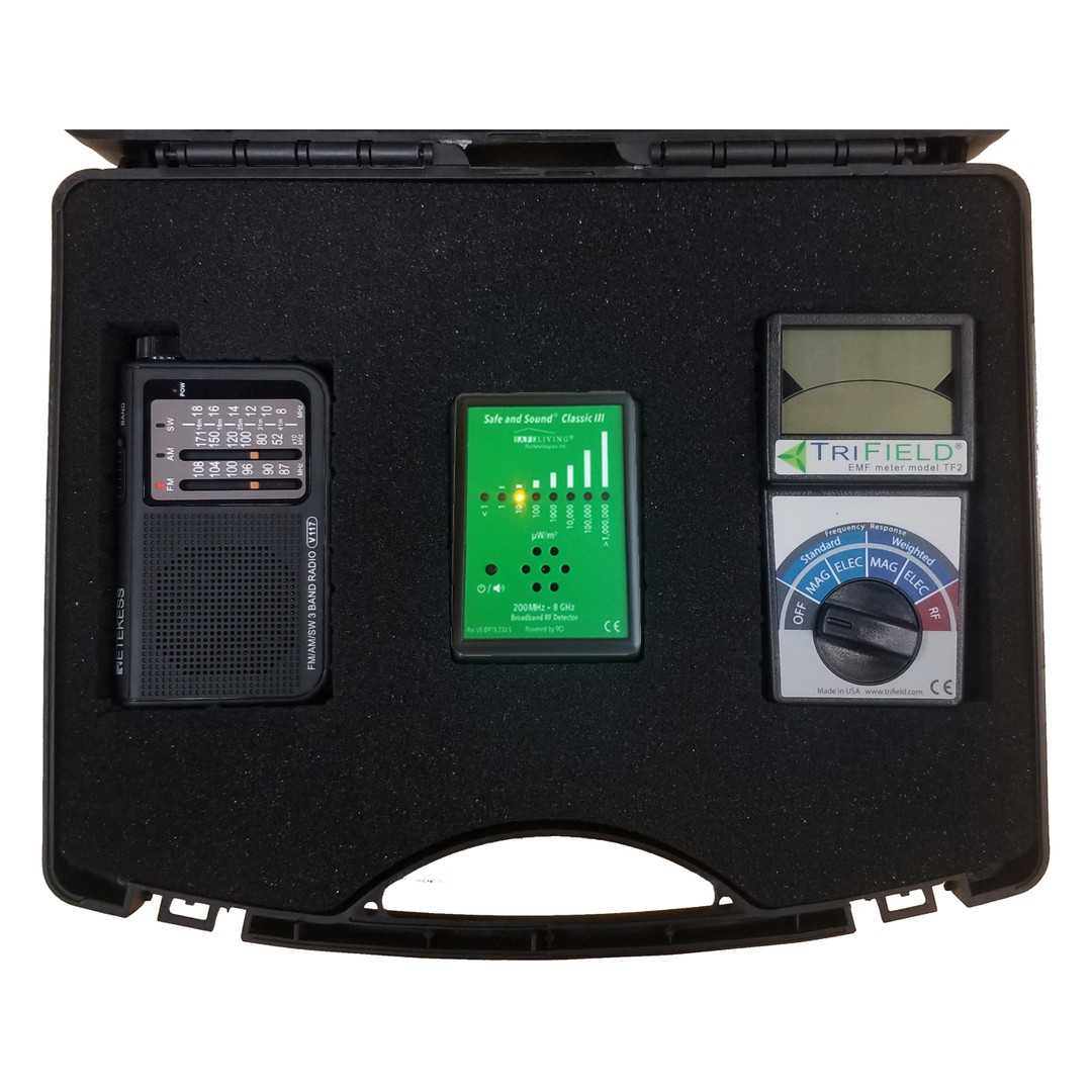 RM6 Intermediate EMF Meter Package